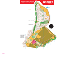 Livelox - Actividad: Roza Vanturilor VII - Bradet