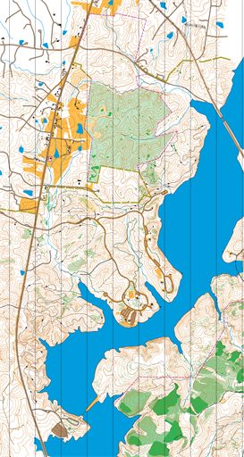 Livelox - Event: BOK - Unnamed Adventure, Loop 4