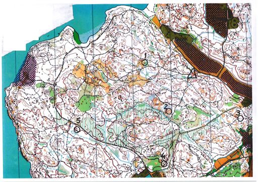 Livelox - Actividad: SRJ 2M Dyvik PA