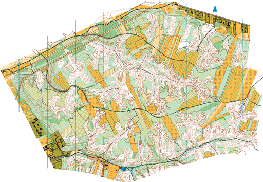 Livelox - Event: Puchar Koziołka E2