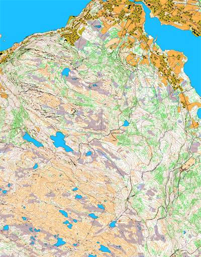 Livelox - Event: Toppen Nedre 2 til O-hytta