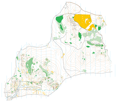 Livelox - Event: Bush 1 Mt Observation